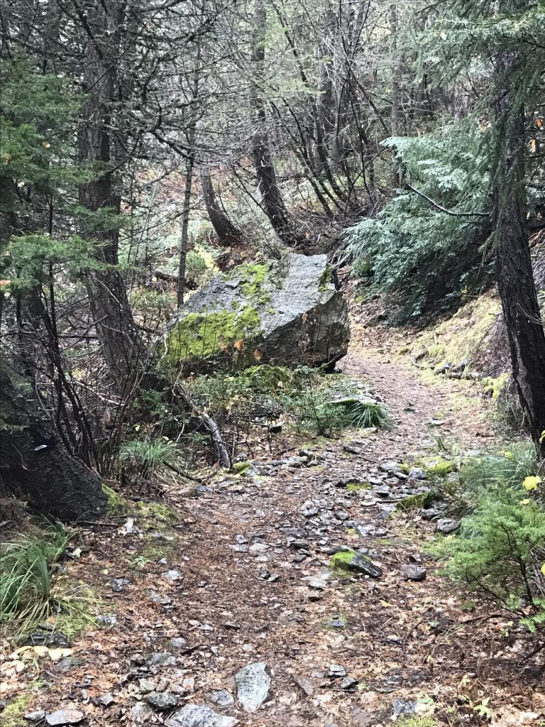 Lone Lake – Stevens Lake Loop – NaughtyHiker