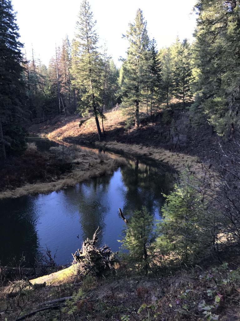 Round Lake State Park Loop – NaughtyHiker