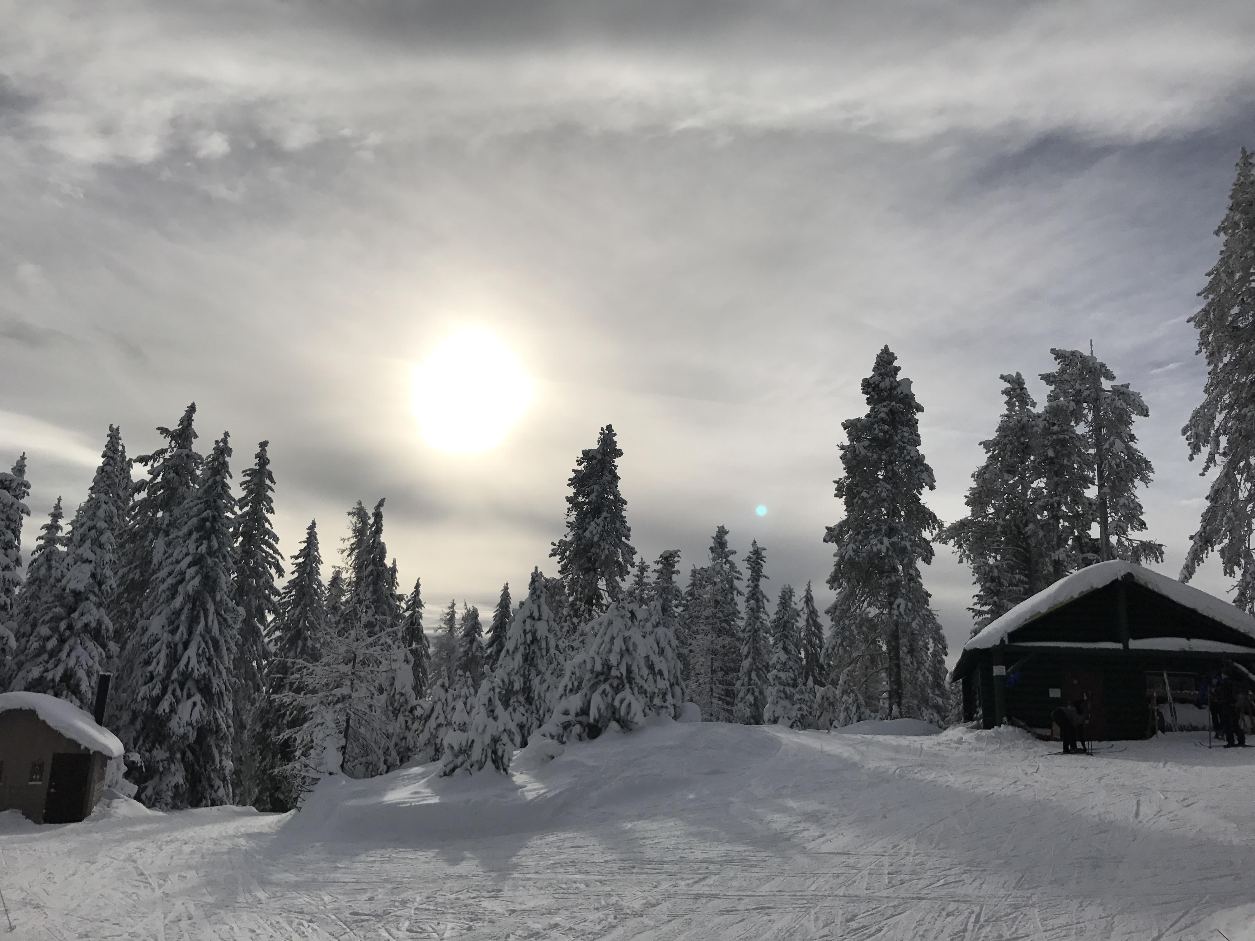 Mount Spokane XC Ski Loop – NaughtyHiker