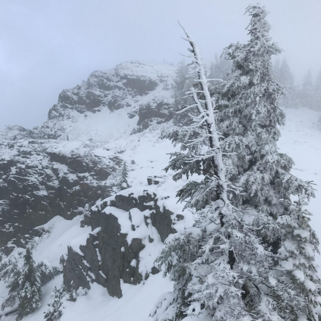 Lone Lake – Stevens Lake Loop – NaughtyHiker