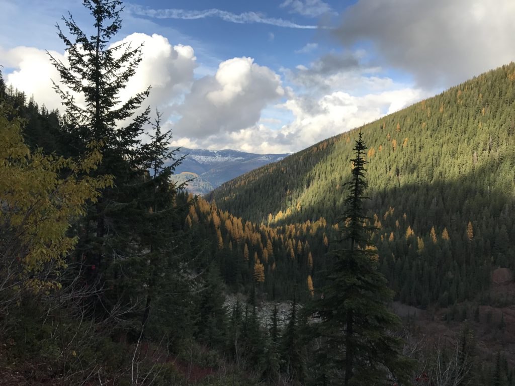 Lone Lake – Stevens Lake Loop – NaughtyHiker