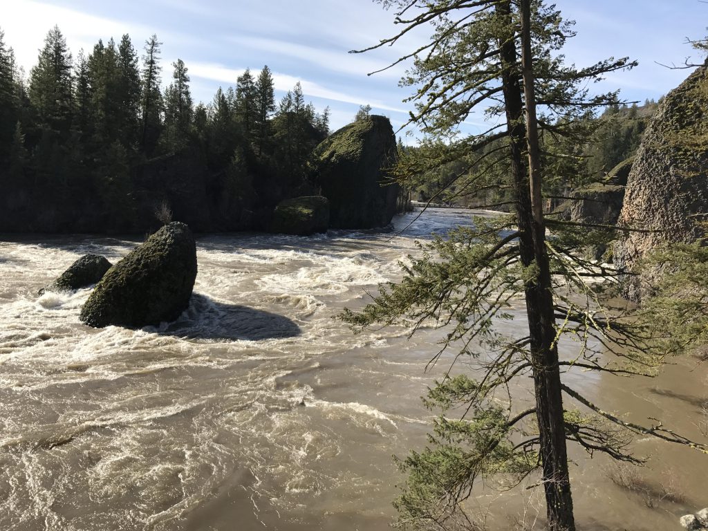 Riverside State Park Loop (Trail 25) – NaughtyHiker