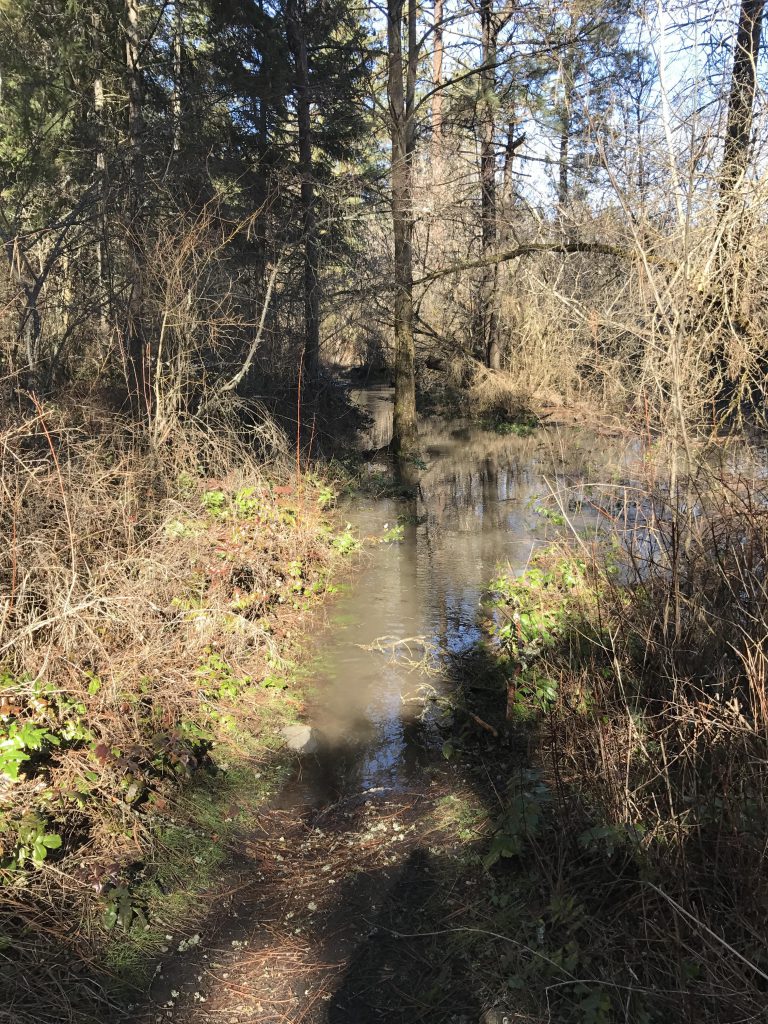 Riverside State Park Loop (Trail 25) – NaughtyHiker