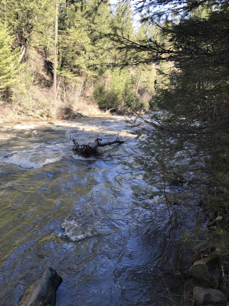 Riverside State Park Loop (Trail 25) – NaughtyHiker