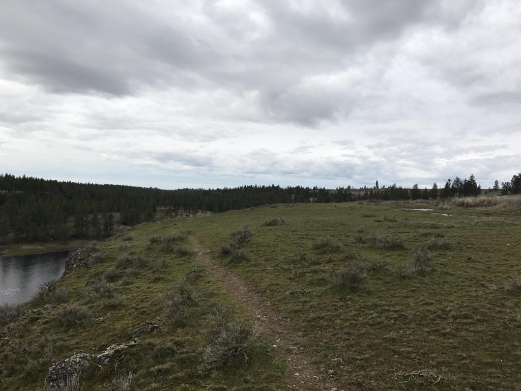 Hog Lake – Fishtrap Lake Loop – NaughtyHiker
