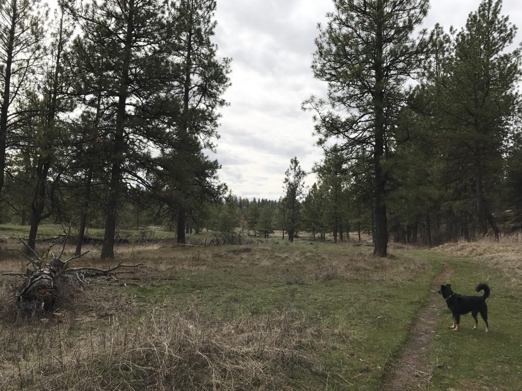 Hog Lake – Fishtrap Lake Loop – NaughtyHiker