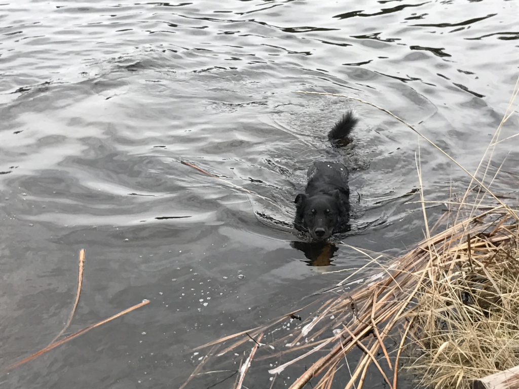 Hog Lake – Fishtrap Lake Loop – NaughtyHiker