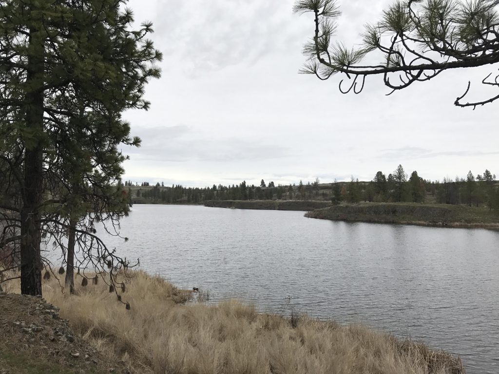 Hog Lake – Fishtrap Lake Loop – NaughtyHiker