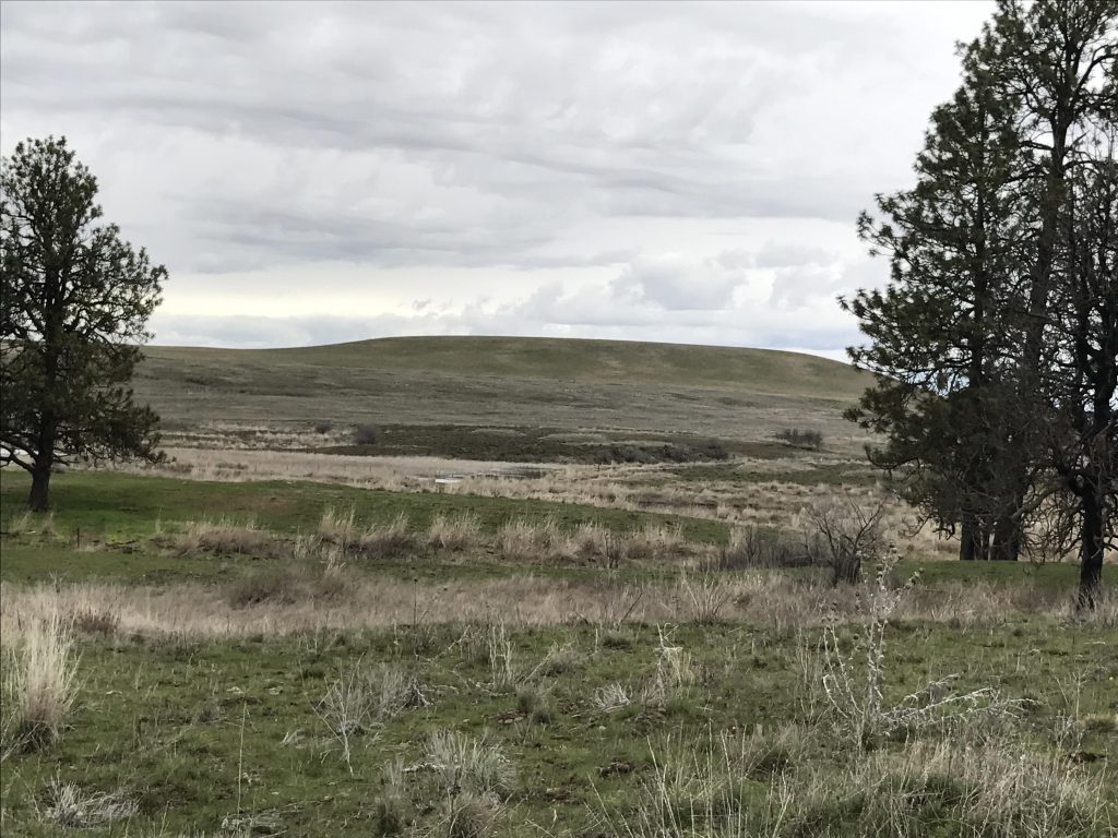 Hog Lake – Fishtrap Lake Loop – NaughtyHiker