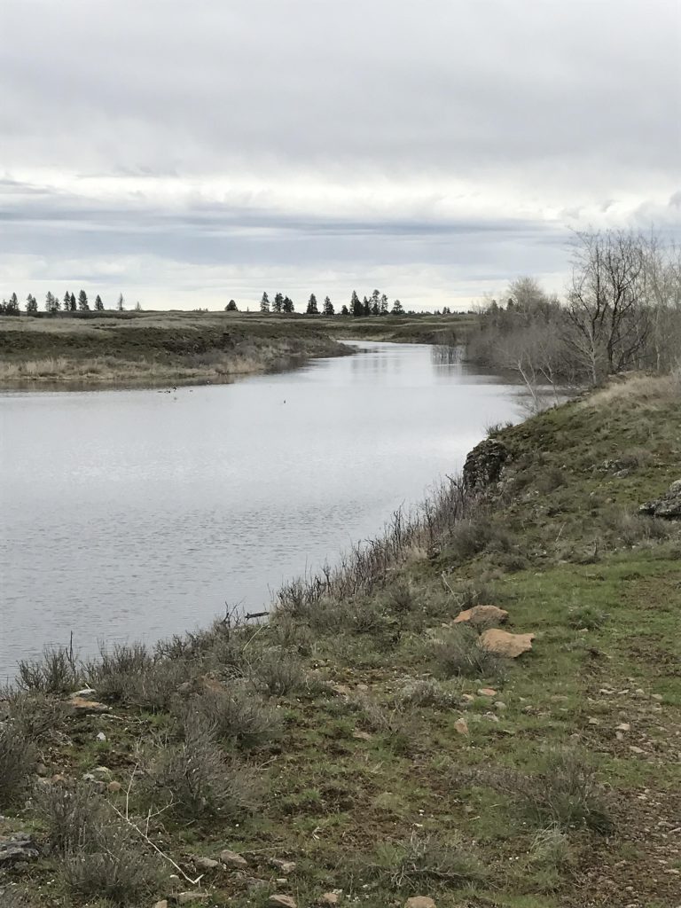 Hog Lake – Fishtrap Lake Loop – NaughtyHiker