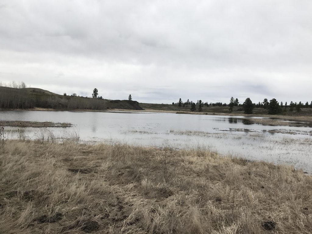 Hog Lake – Fishtrap Lake Loop – NaughtyHiker