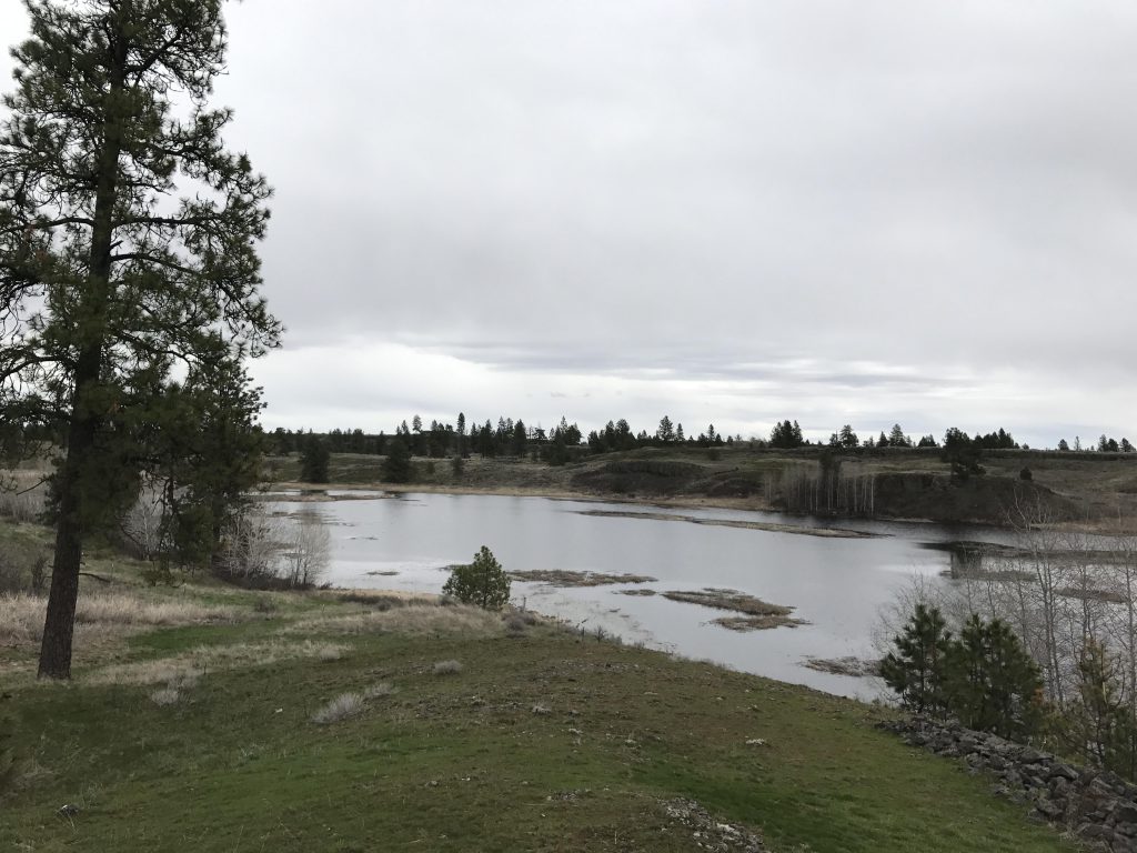 Hog Lake – Fishtrap Lake Loop – NaughtyHiker