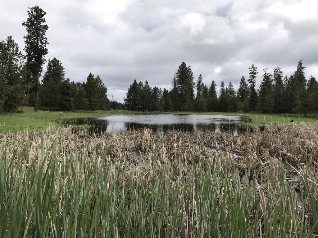 Slavin Conservation Area Loop – NaughtyHiker