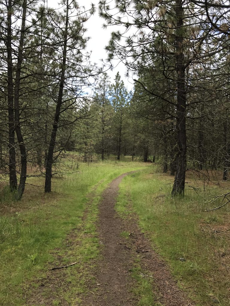 Slavin Conservation Area Loop – NaughtyHiker