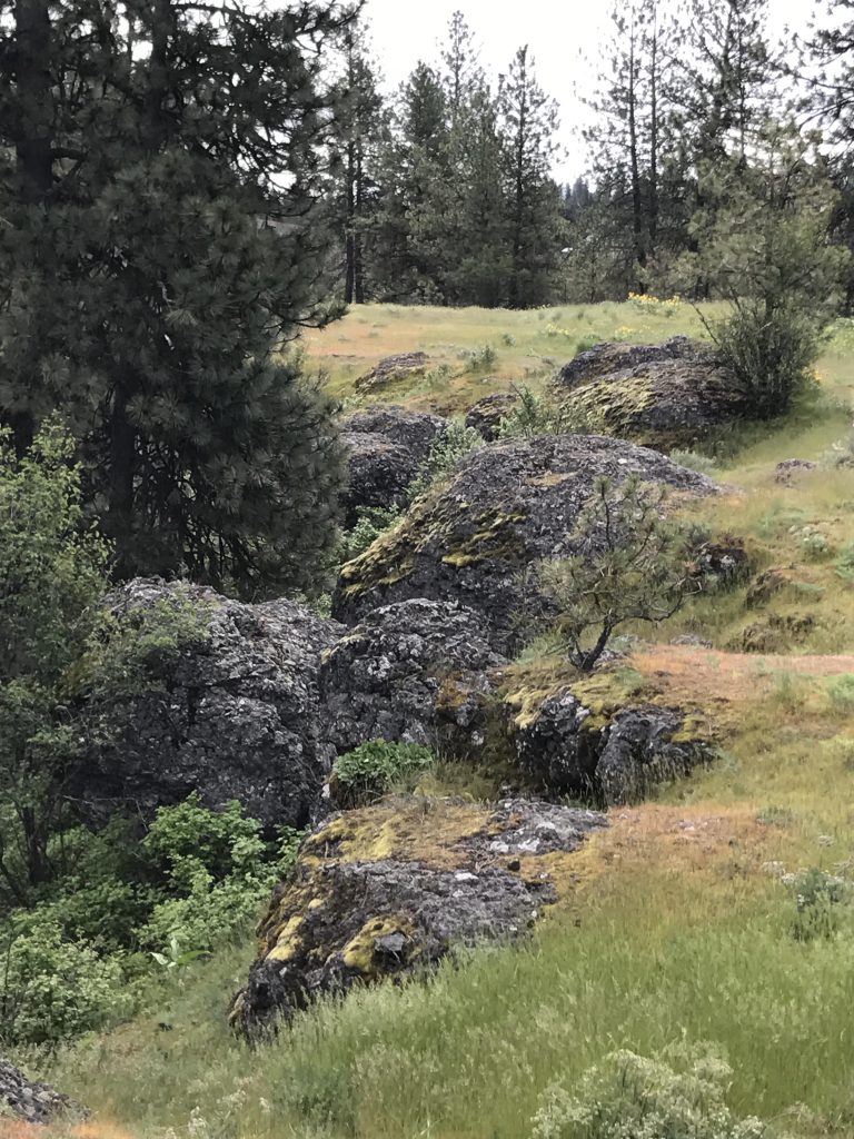 Slavin Conservation Area Loop – NaughtyHiker