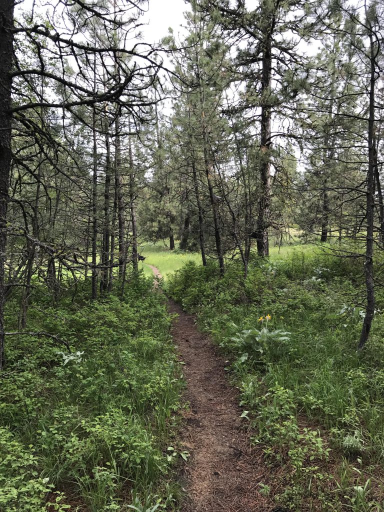 Slavin Conservation Area Loop – NaughtyHiker