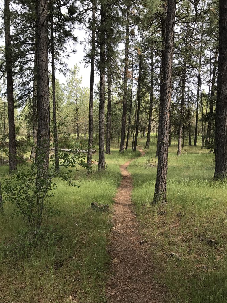 Slavin Conservation Area Loop – NaughtyHiker