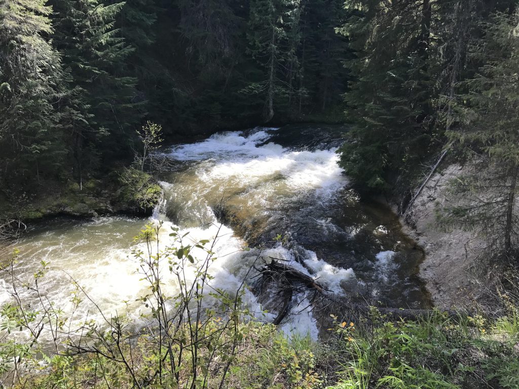Chipmunk Rapids Loop – NaughtyHiker