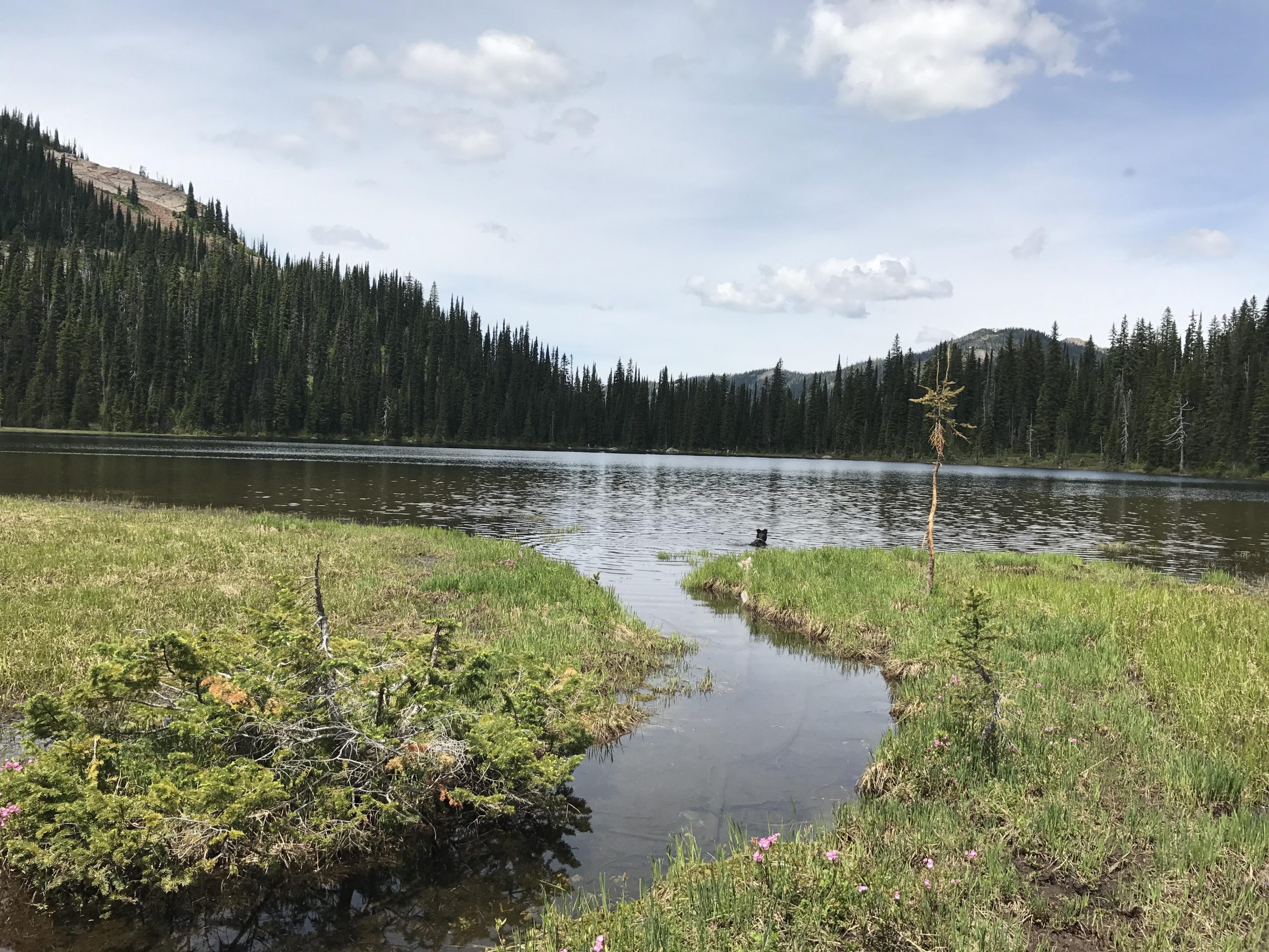 Three Lakes Loop (Blacktail Lake, Moose Lake, Lake Estelle) – NaughtyHiker