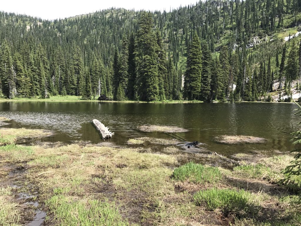 Three Lakes Loop (Blacktail Lake, Moose Lake, Lake Estelle) – NaughtyHiker