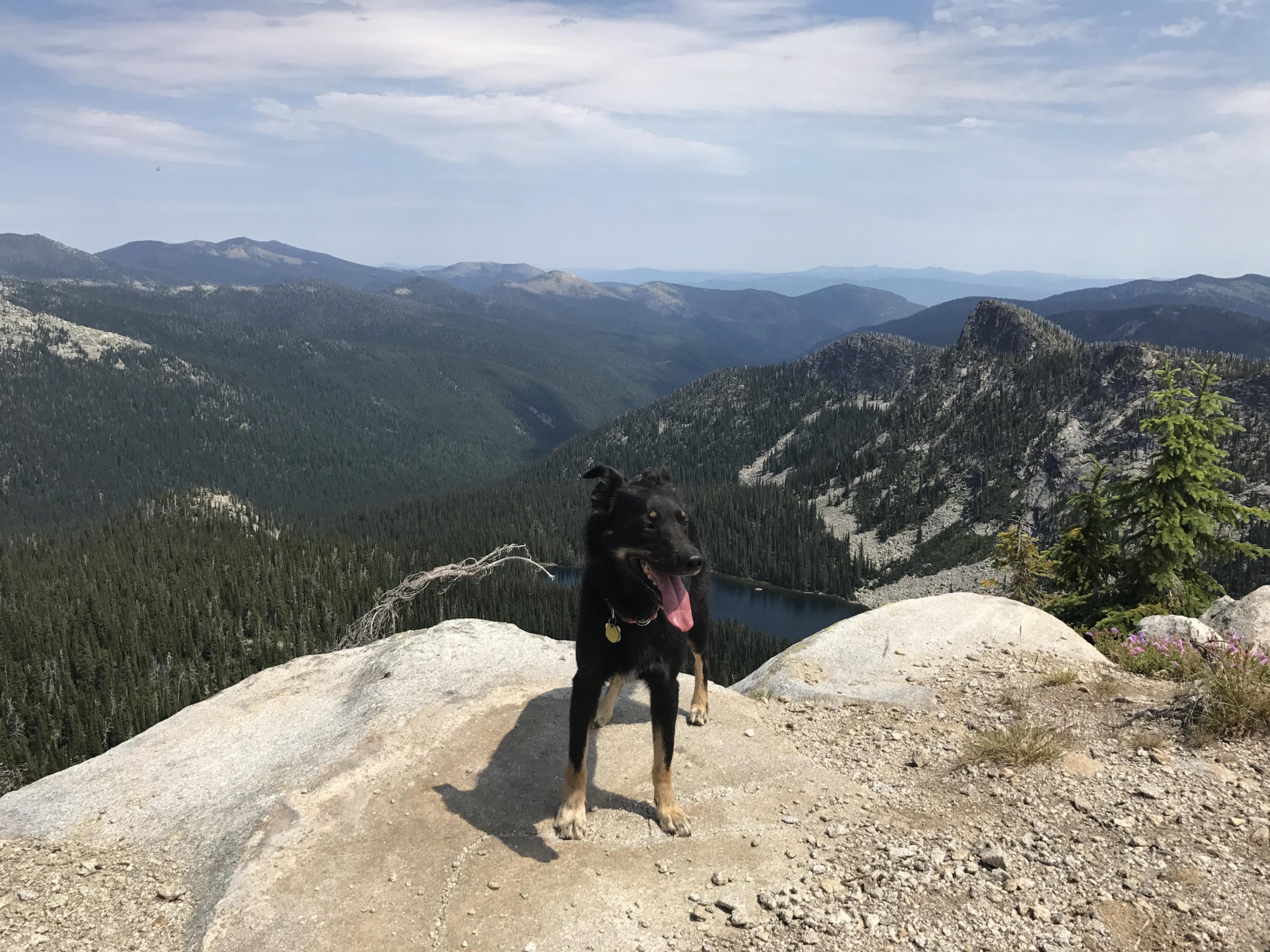 Myrtle Lake via Myrtle Peak – NaughtyHiker