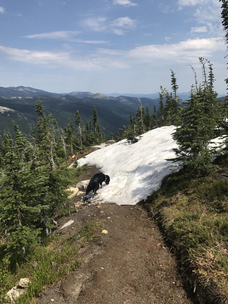 Myrtle Lake via Myrtle Peak – NaughtyHiker