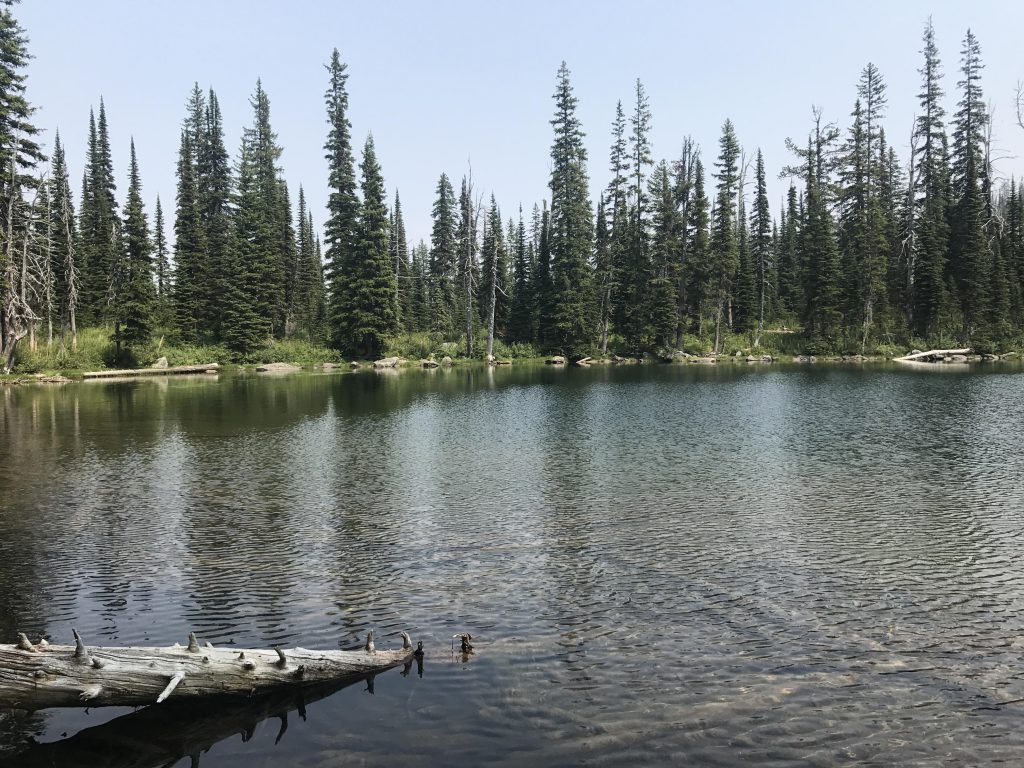 Snow Lake – Bottleneck Lakes Loop – NaughtyHiker