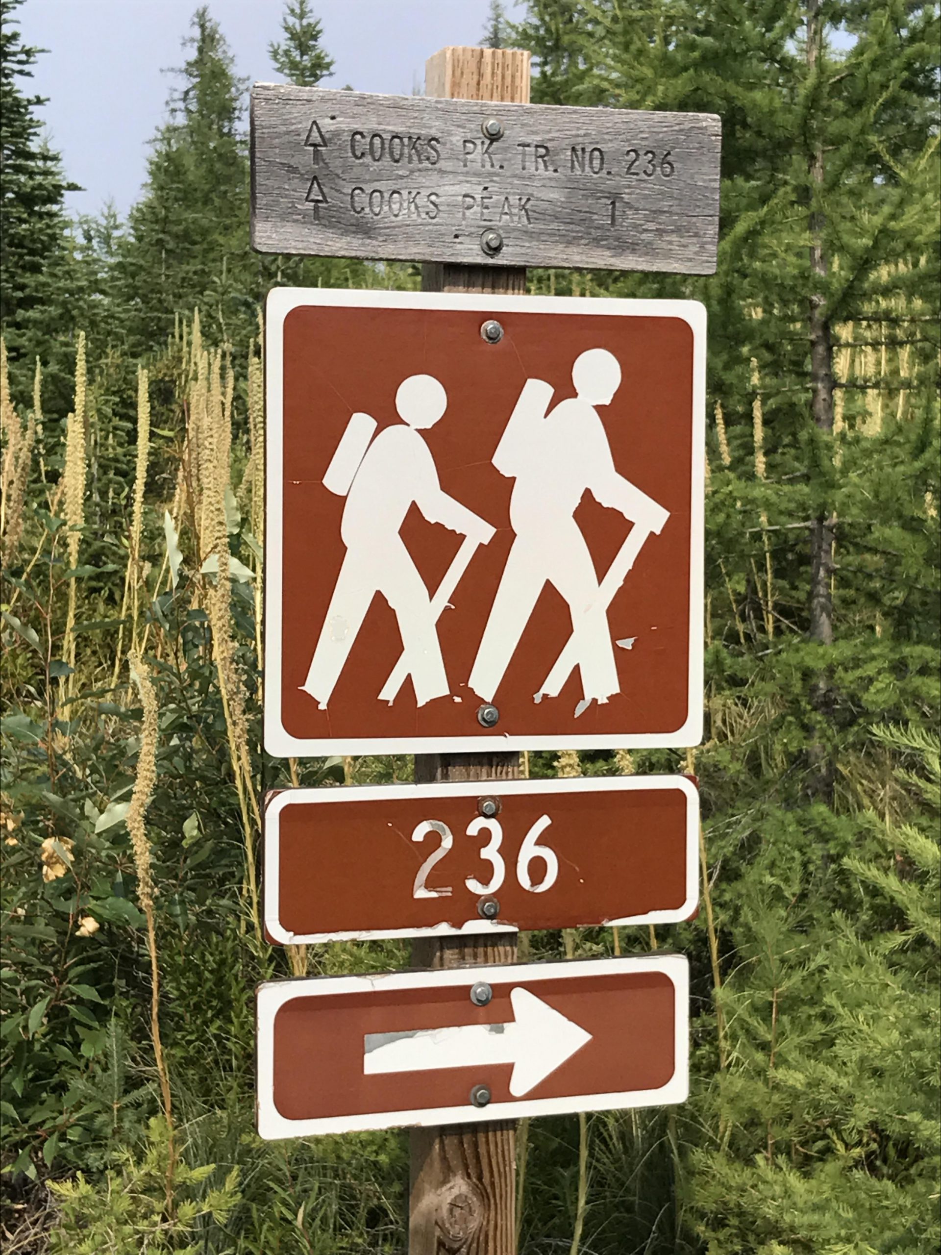 Cooks Peak – NaughtyHiker