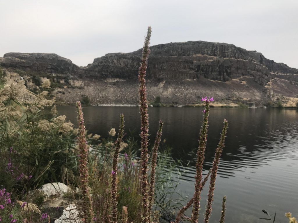 Ancient Lakes Loop – NaughtyHiker