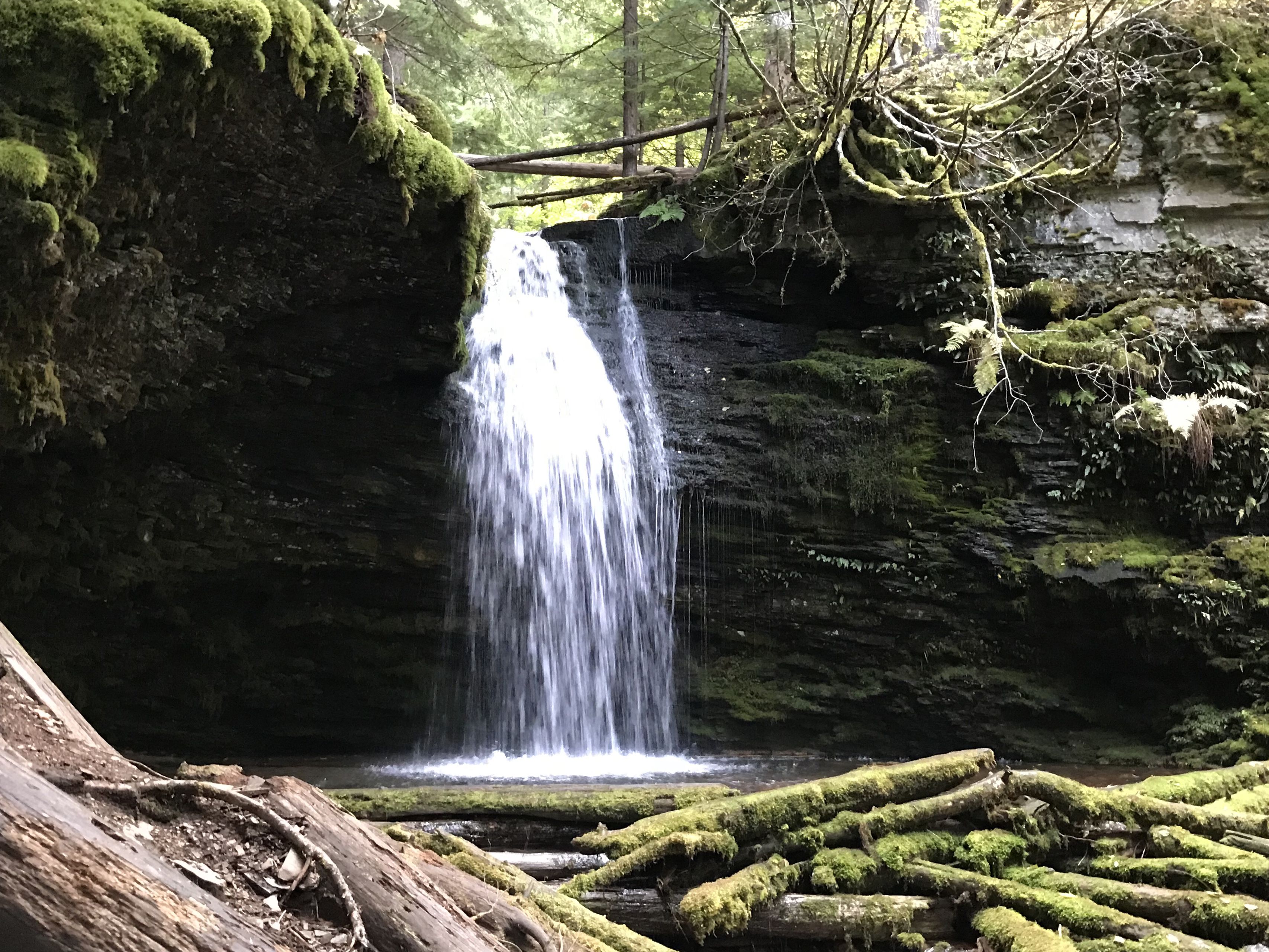 Fern Falls and Shadow Falls – NaughtyHiker