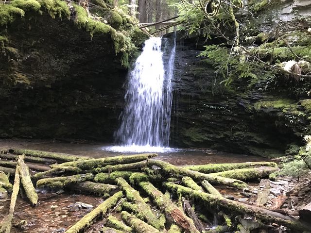 Fern Falls and Shadow Falls – NaughtyHiker