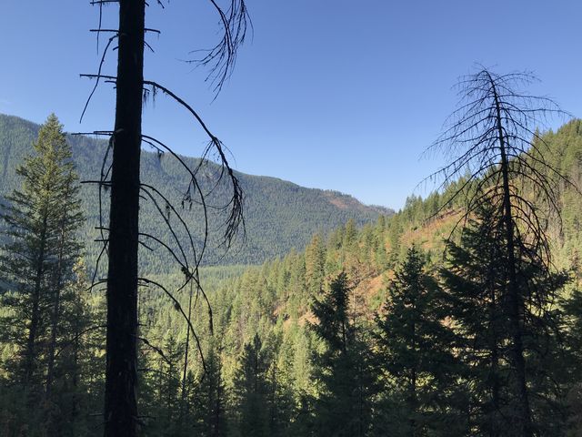 Wanless Lake Loop – NaughtyHiker