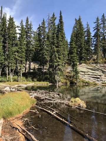 Wanless Lake Loop – NaughtyHiker