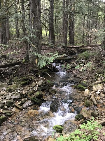 Wanless Lake Loop – NaughtyHiker