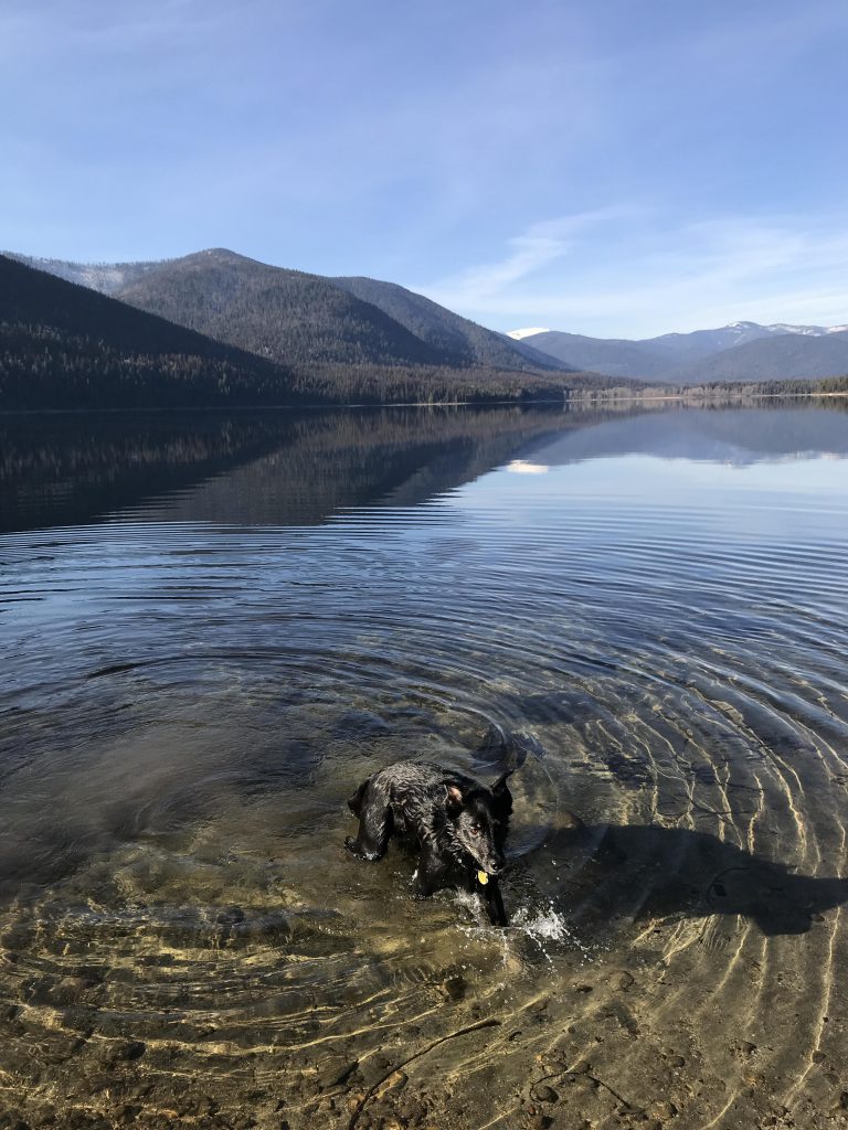 Upper Priest Lake and Trapper Creek – NaughtyHiker