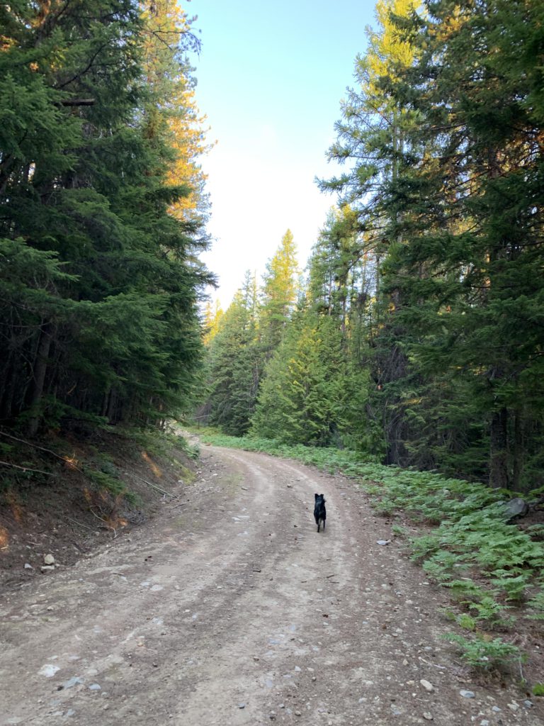 Bramlet Lake – NaughtyHiker