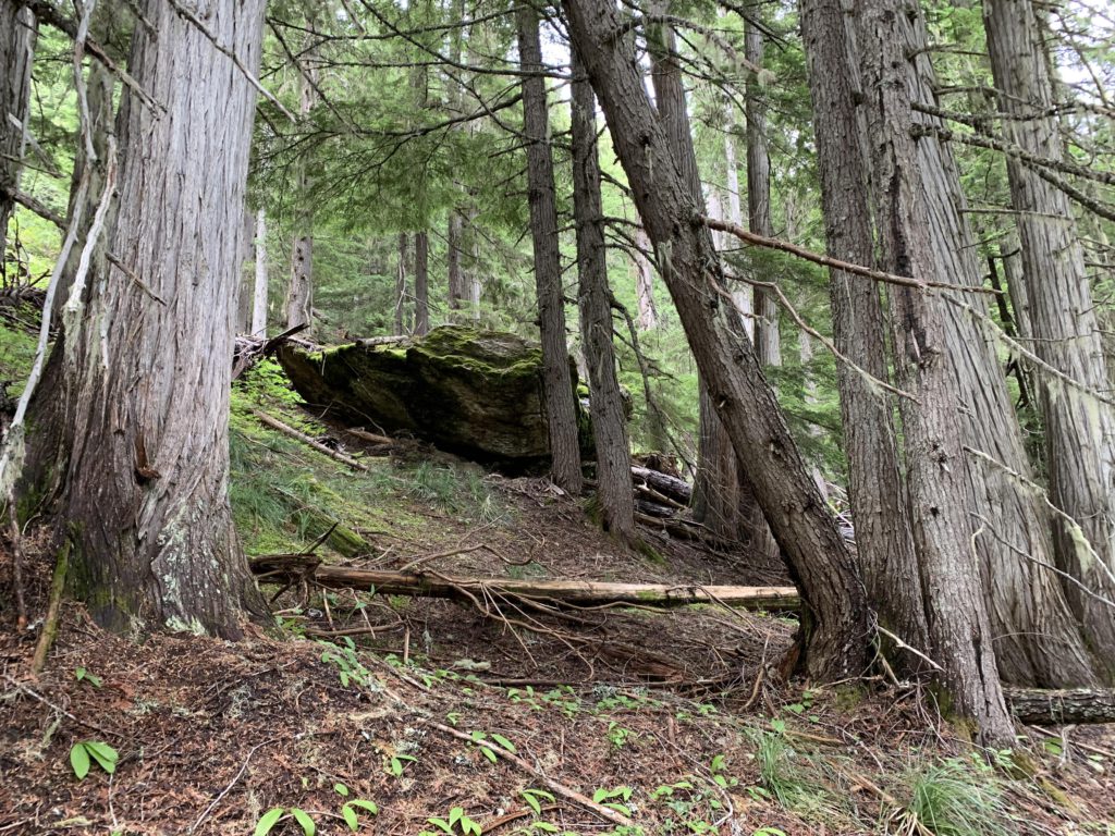 Salmo-Priest Loop – NaughtyHiker