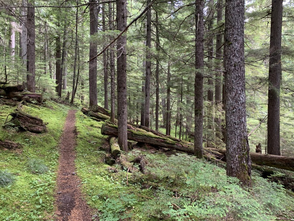 Salmo-Priest Loop – NaughtyHiker