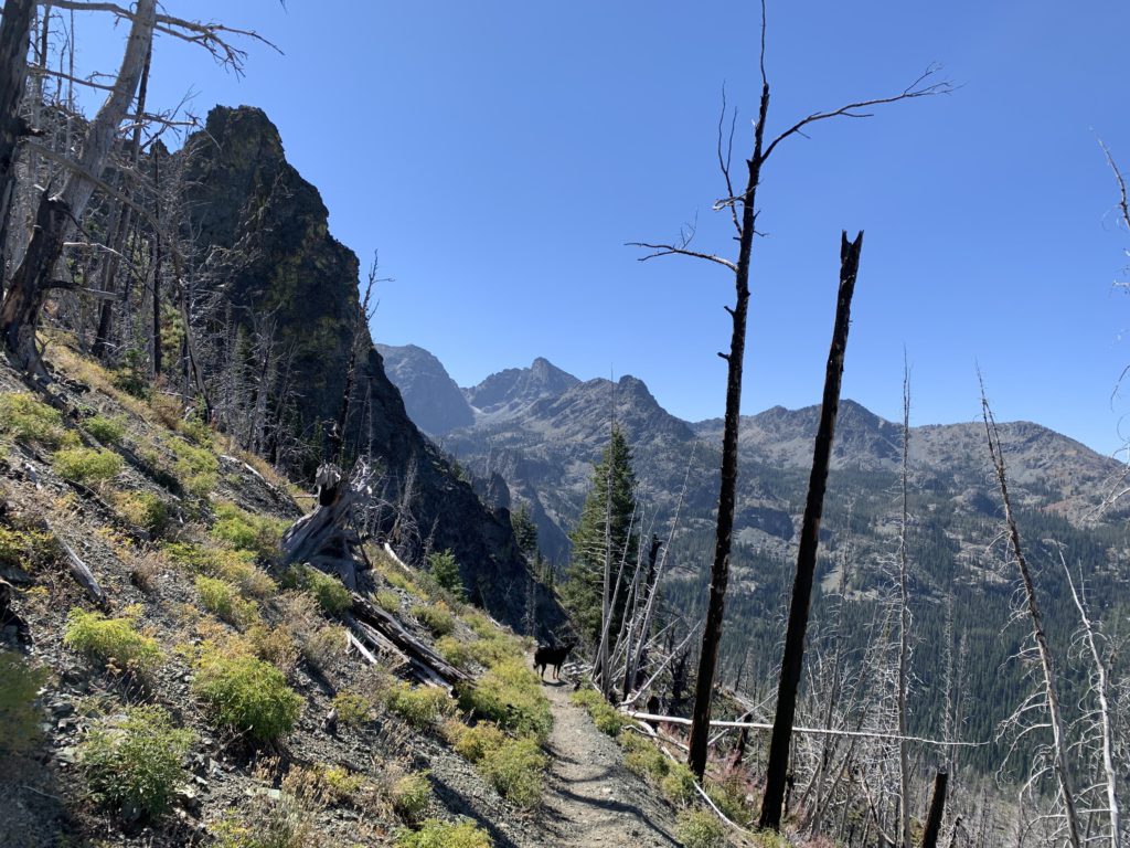 Seven Devils Loop – NaughtyHiker