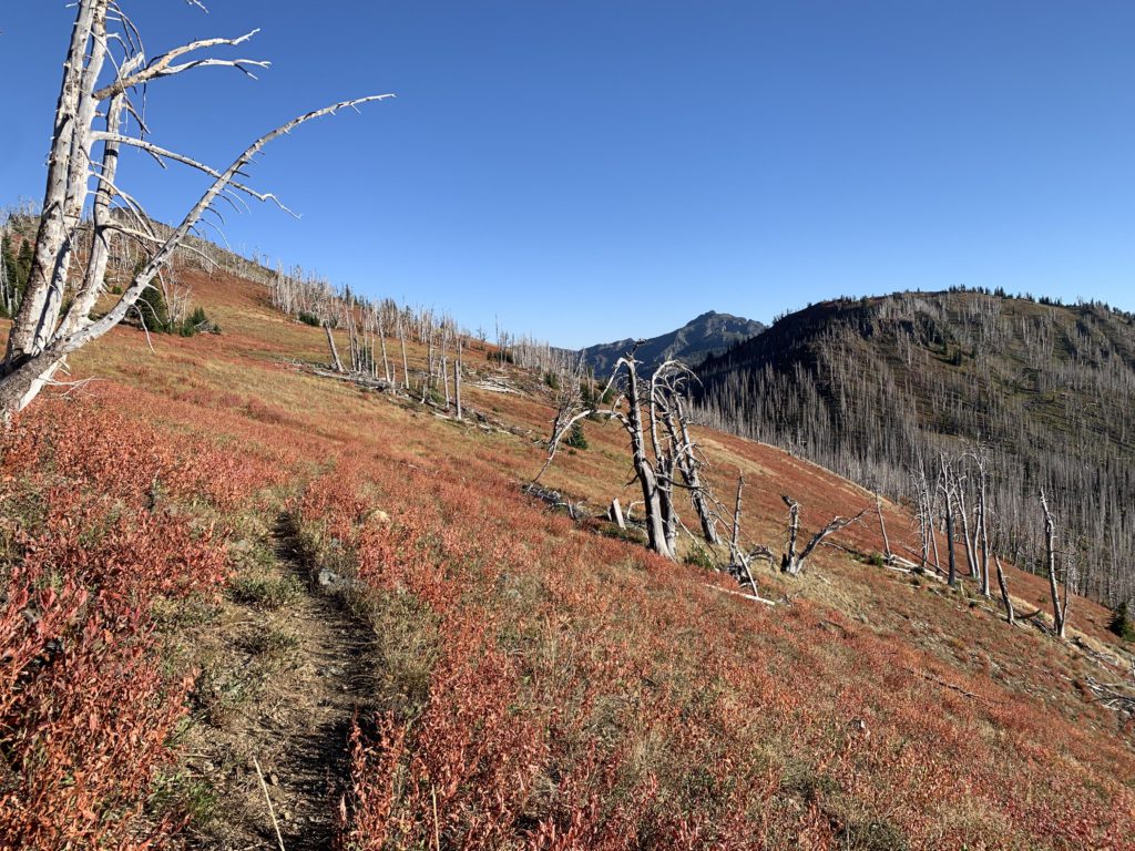 Seven Devils Loop – NaughtyHiker