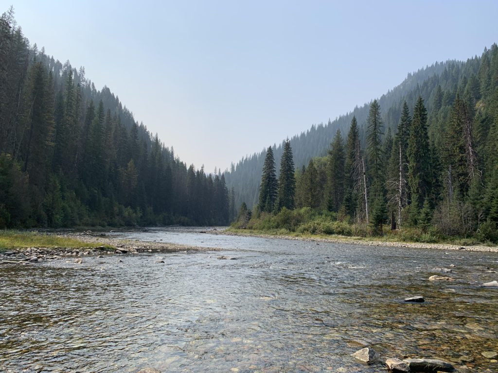 Kelly Creek Loop – NaughtyHiker